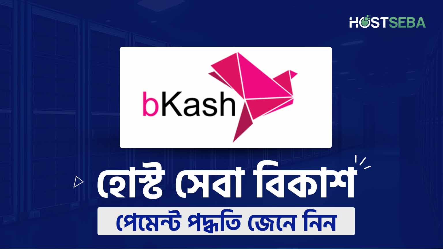 কিভাবে বিকাশের মাধ্যমে হোস্ট সেবা পেমেন্ট করবেন ? - How to pay HostSeba via Bkash? - Hostseba